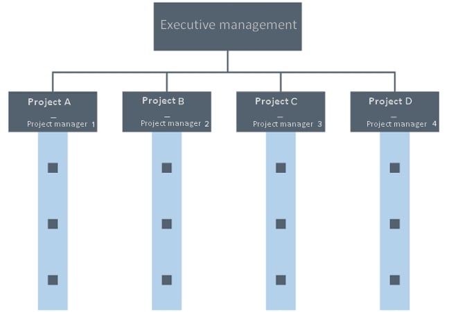Organizational Structures